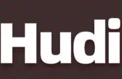 云服务器Hudi数据湖平台搭建完全指南：从入门到实战 – hostol.com – 主机技术分享