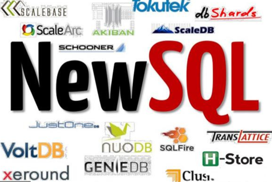 2024 NewSQL数据库服务器性能深度评测报告 – Hostol.com – 主机技术分享